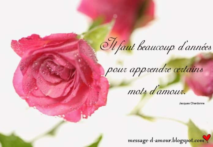 Citations Saint Valentin - Message d'amour